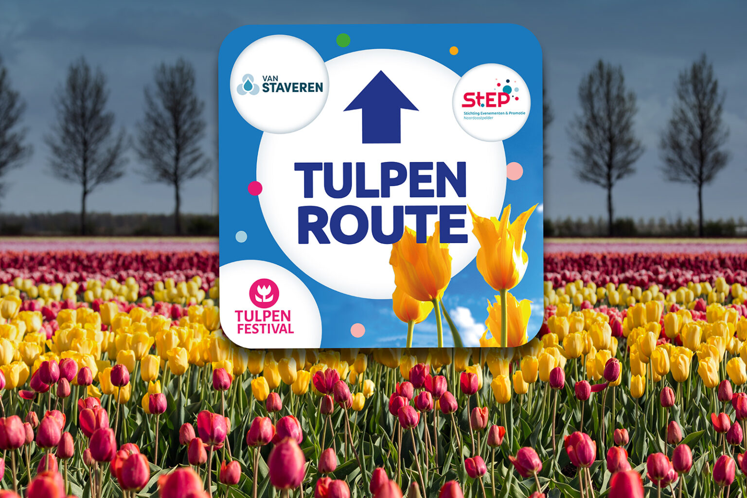 Van Staveren sponsor van tulpenfestival 2025 🌷 - Van Staveren
