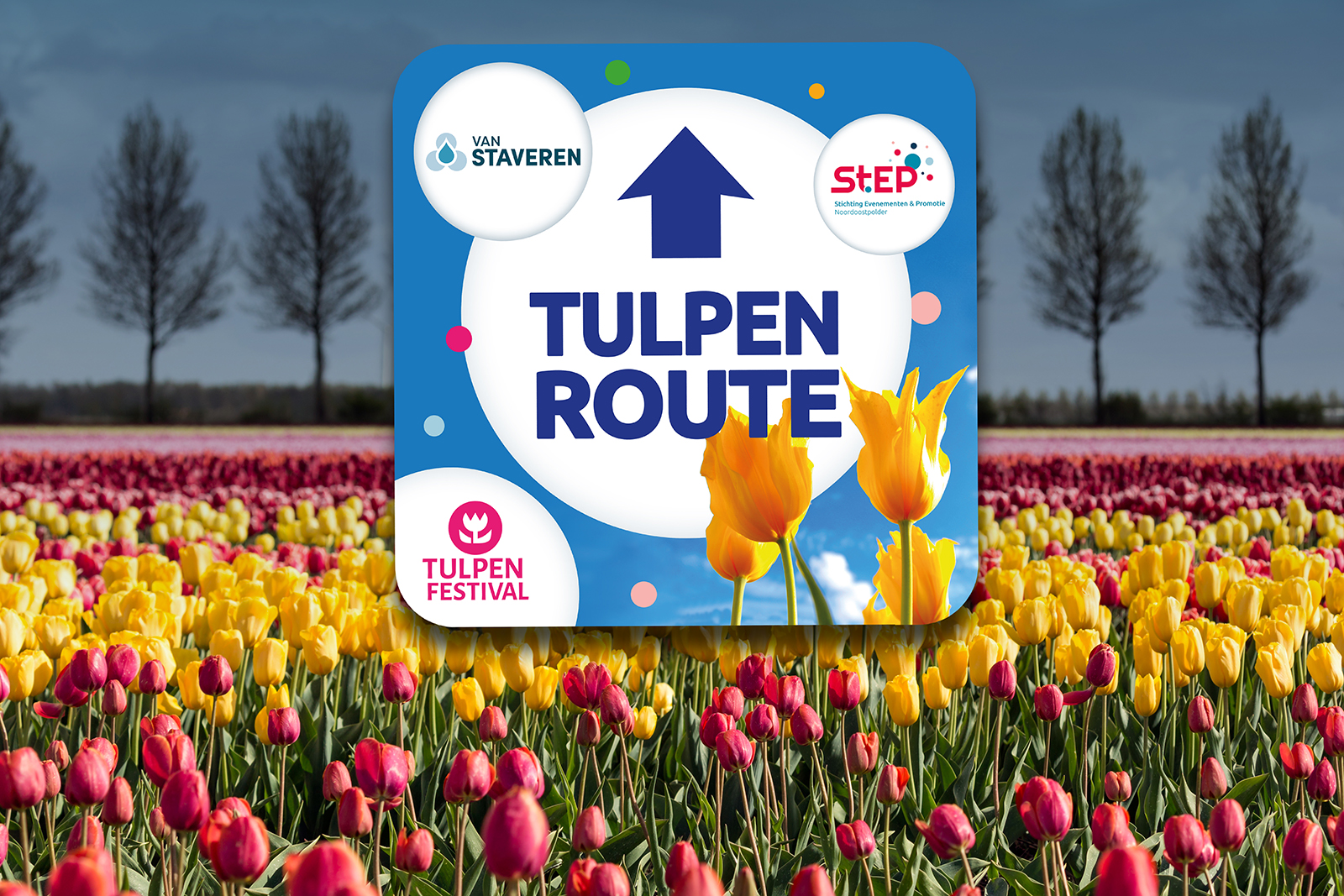 De Van Staveren Autoroute Tijdens Het Tulpenfestival Van Staveren